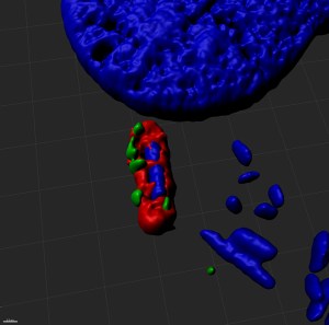 Welcome to the Minsoo Kim Lab – Integrative Molecular Medicine Research