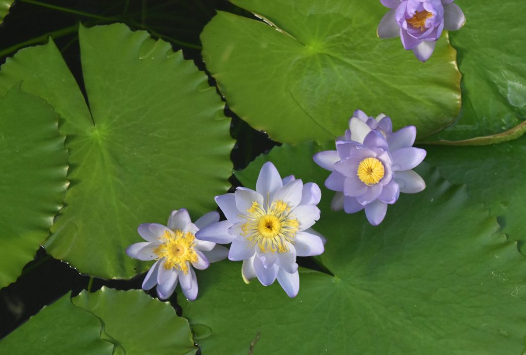 Team – Welcome to the Minsoo Kim Lab